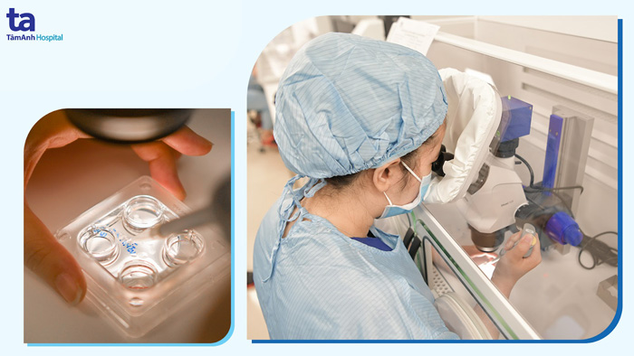 Phòng LAB ISO 5 của Trung tâm Hỗ trợ sinh sản BVĐK Tâm Anh TP.HCM