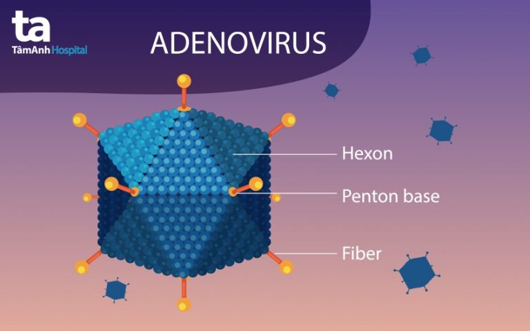 Adenovirus gây ra bệnh gì? Là nguyên nhân gây viêm gan bí ẩn?