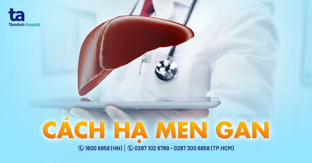 8 Cách hạ men gan cao đúng phương pháp có thể bạn chưa biết