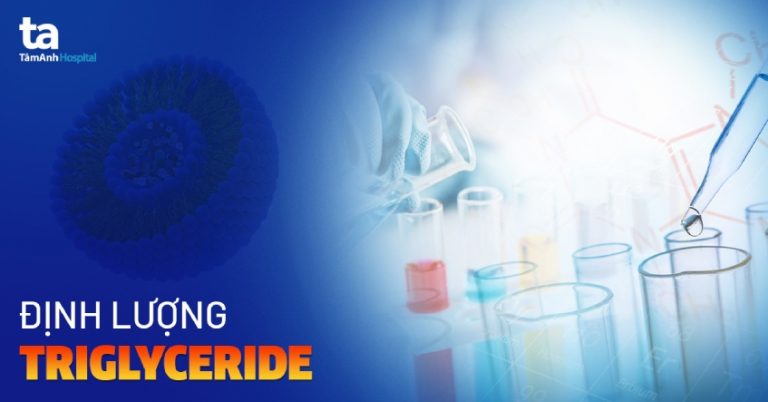 Vai trò của định lượng triglyceride trong máu là như thế nào?