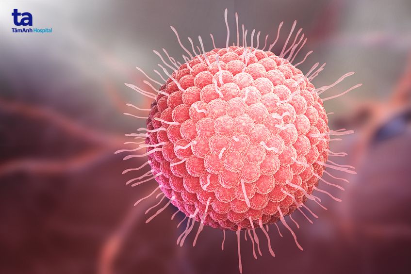 Thủy đậu ở trẻ sơ sinh: Nguyên nhân, biến chứng và phòng ngừa