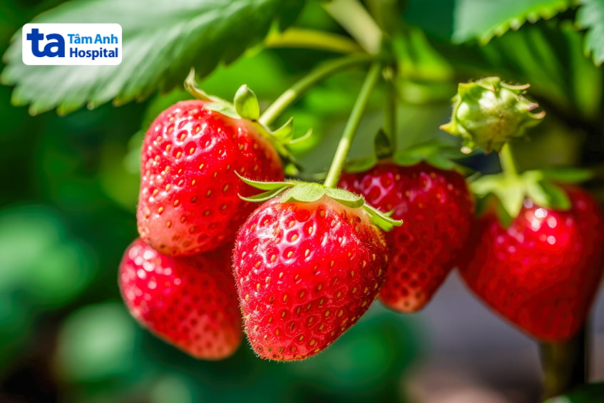 Bị mụn viêm nên ăn gì, kiêng gì giúp cải thiện và hạn chế sẹo?