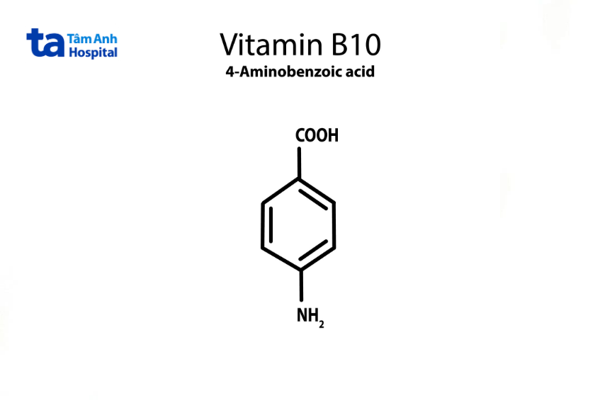 Vitamin B là gì? Phân loại, tác dụng, liều dùng và bổ sung