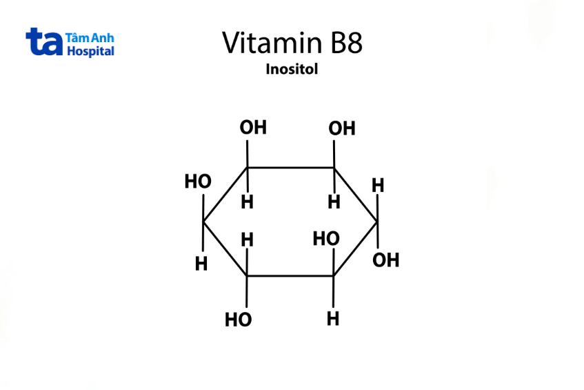 Vitamin B là gì? Phân loại, tác dụng, liều dùng và bổ sung