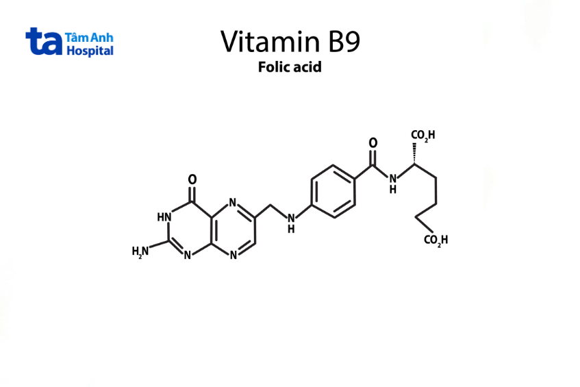 Vitamin B là gì? Phân loại, tác dụng, liều dùng và bổ sung