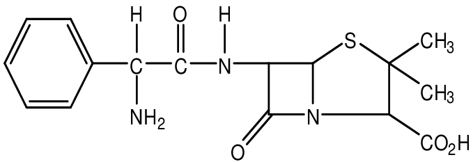 Ampicillin là thuốc gì? Công dụng, liều dùng và cách sử dụng