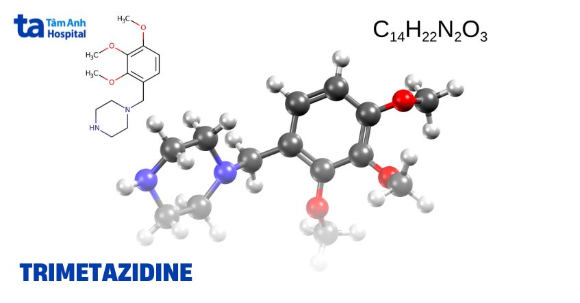 Trimetazidine là thuốc gì? Công dụng, liều dùng và tác dụng phụ